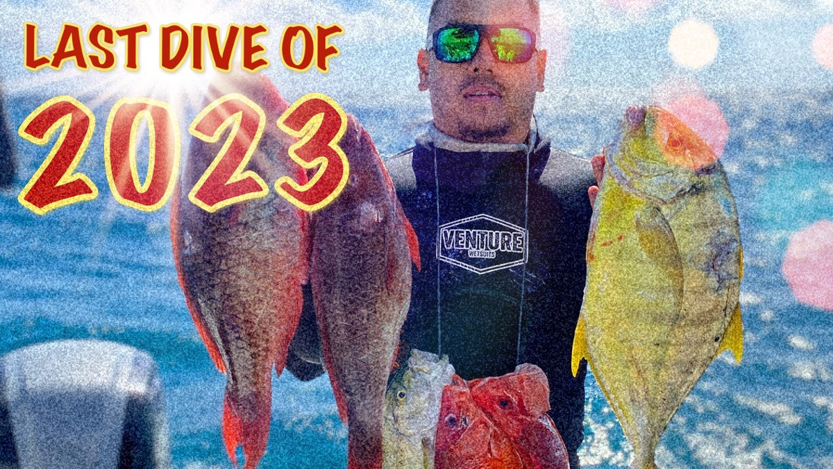 Last Dive of 2023 – Venture Wetsuits