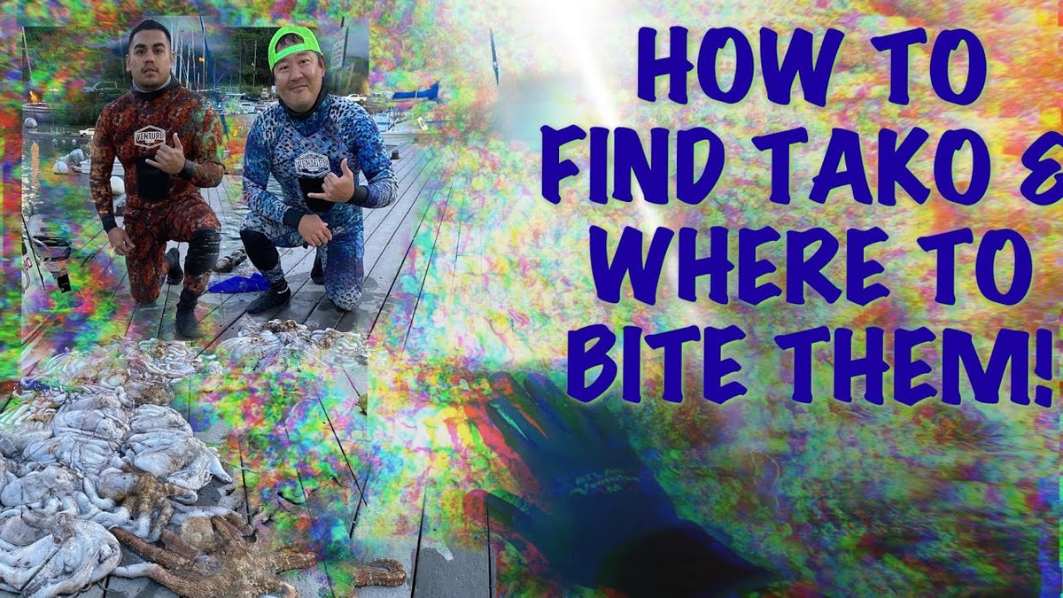 How to find Tako & where to bite them! – Venture Wetsuits
