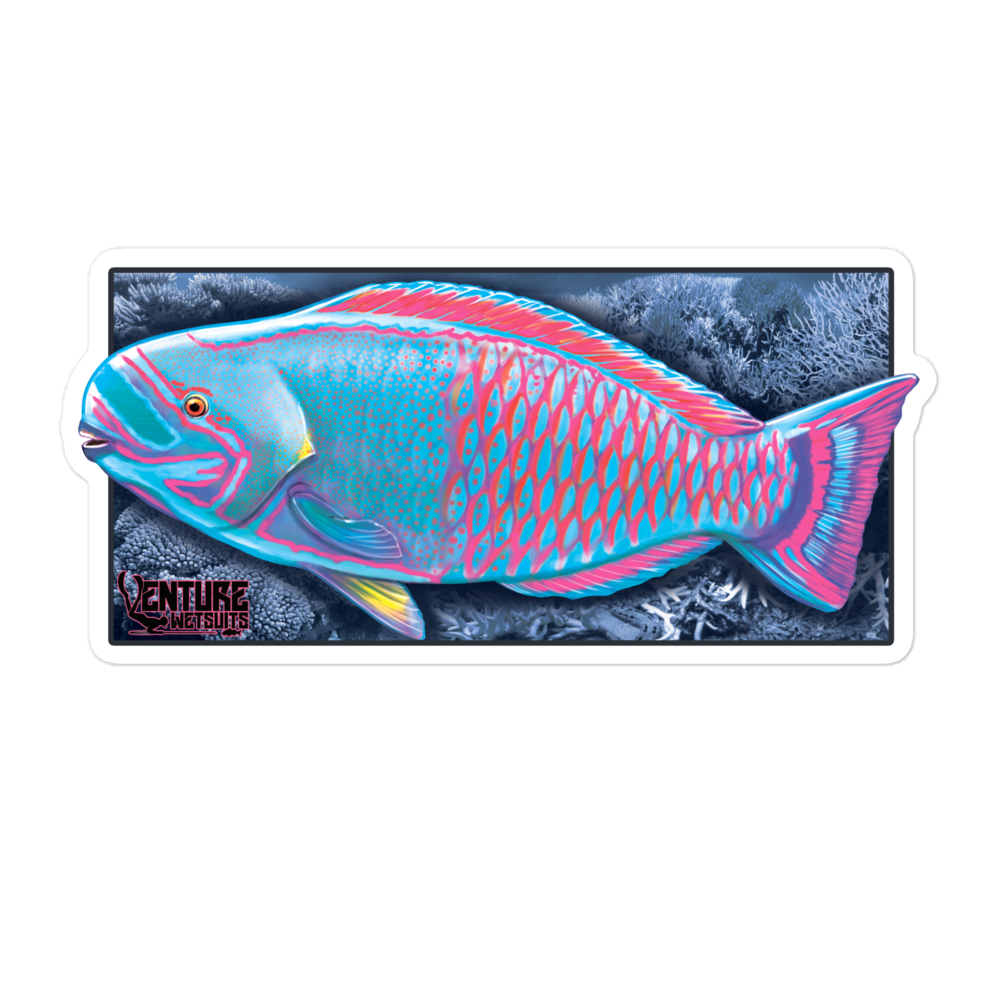 Uhu Sticker – Venture Wetsuits